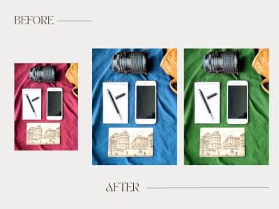 A realistic recolorization of any element you want to change from an ...