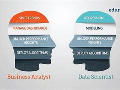 Fantastic data analysis for your business | Upwork