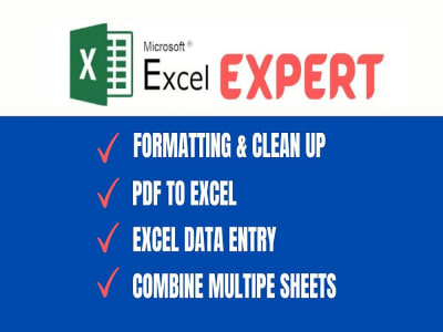 Excel data entry, formatting, cleaning, pdf to Excel and more! | Upwork