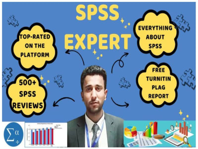 SPSS Data Analysis and Reporting Services Online | Upwork