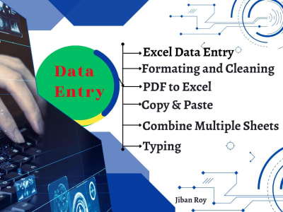 Excel Data Entry, Cleaning, Formating, PDF Conversion with 100% ...