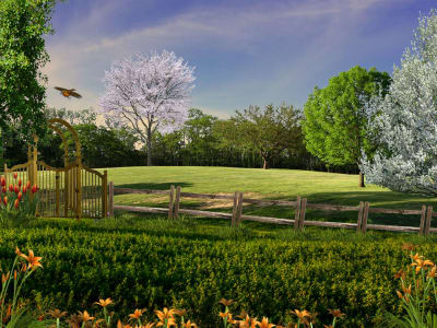 An Empathetic Listener who will hold judgement free Space | Upwork