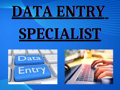 Accurate and efficient data entry services | Upwork