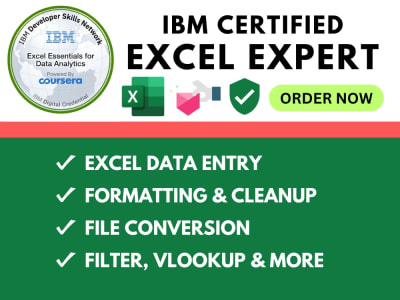 Excel data entry, spreadsheet cleaning and formatting service | Upwork