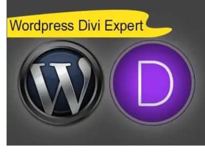 Elementor PRO Expert WordPress Theme WordPress Divi Expert WordPress | Upwork