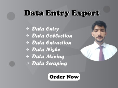 Data Entry and Data Collection work as per your expectations. | Upwork