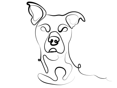A vector design of your pet in line art | Upwork
