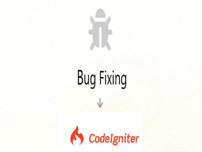 Codeigniter bugs fixing Service | Upwork