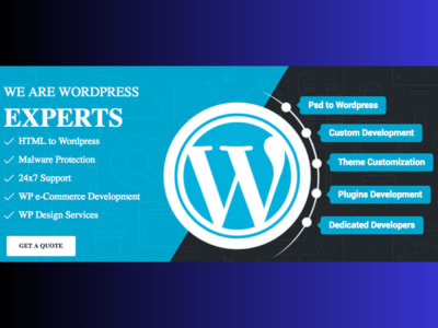 A Top-Notch Google Ranking Website Using WordPress | Upwork