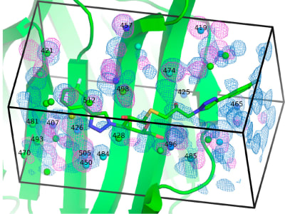 A reliable molecular docking and molecular dynamics simulation | Upwork
