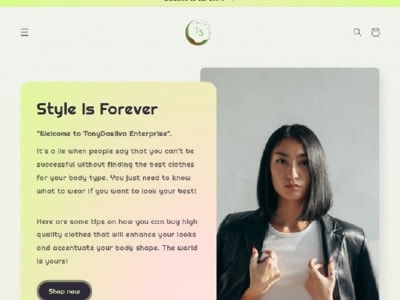 A professional and attractive web or website design for your business ...