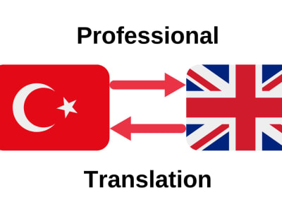 A translation from Turkish to English or English to Turkish. | Upwork