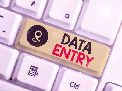 Data entry , File conversion , Microsoft Excel , Data processing ...