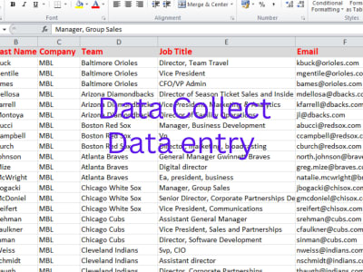 Microsoft Excel data entry job, PDF to Excel/web scraping& data mining | Upwork