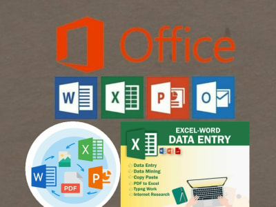 A Data Entry Clerk, an Excel Expert, Typist, and Data Cleaner | Upwork