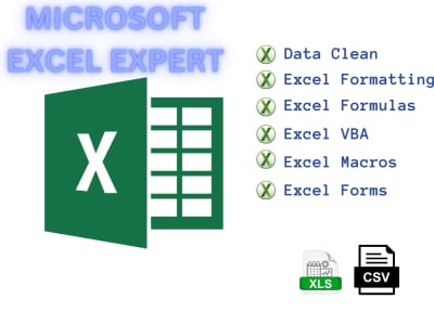 Excel Formulas, Excel Formatting, Data Cleaning and MACROS and VBA | Upwork