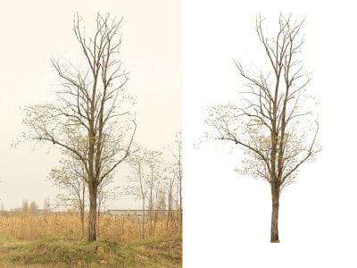 A background removal / professional product isolation from background ...