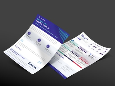 A professional sales sheet design | Upwork