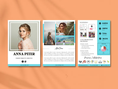 Professional media kit, press kit, epk, rate card or one sheet using ...