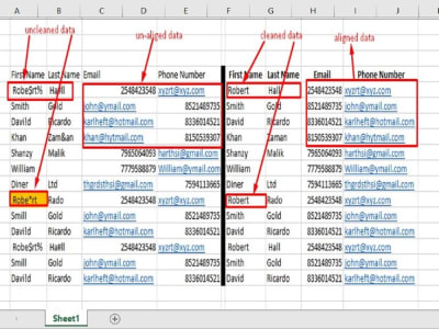 Data cleaned and aligned in correct columns in excel | Upwork