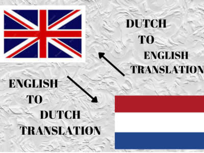 A professional English-to-Dutch or Dutch-to-English translation in 24hr ...