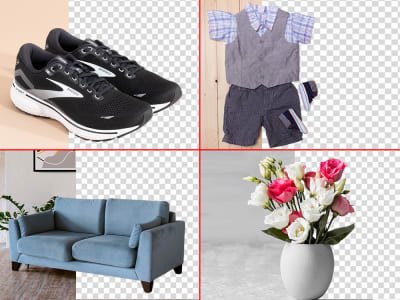 Background removal from 100 images - White or transparent background ...