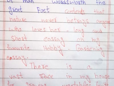 A very beautiful handwriting Assignment and paragraphs | Upwork