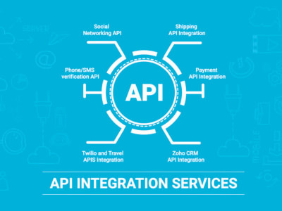 API integration or SDK integration with the .NET website or software ...