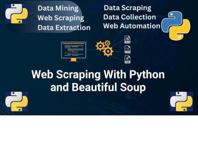 Python Web scraping & Data Mining, Automation | Upwork