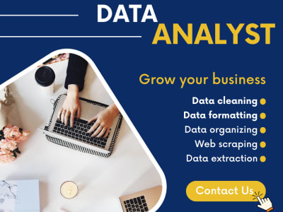 Data Analyst Excel. Data Cleaning and Organizing Services | Upwork