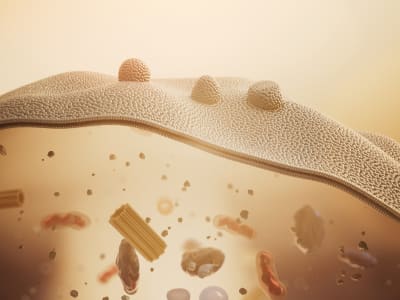 3d water simulations, animated fluids, and liquid animation | Upwork