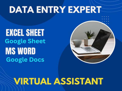 An excellent and accurate data entry | Upwork