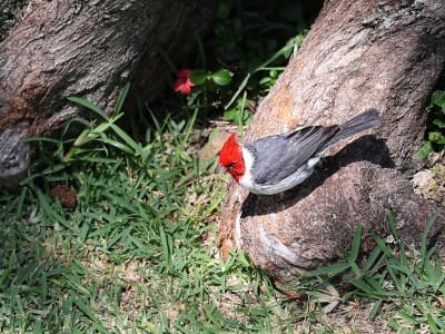 An AI solution for your business concern | Upwork