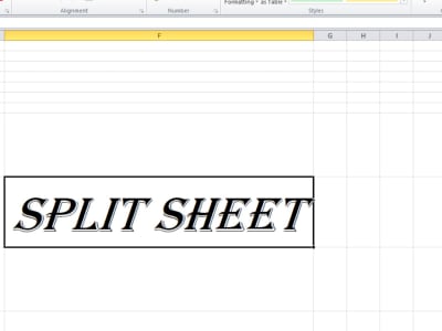 A split excel sheet report very very fast as u want . | Upwork