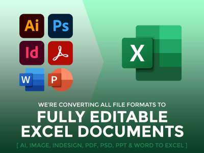 Any file format converted to a fully editable Excel (XLSX) document | Upwork