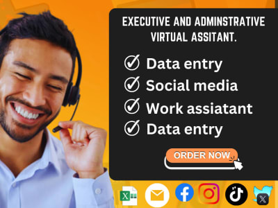 Executive and administrative virtual assistant, Data entry, Social ...