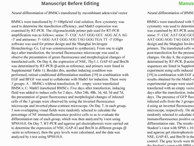 I can translate 1000 word from any launguage to another language | Upwork