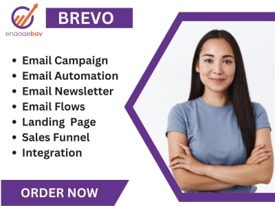 A professional brevo CRM automation Email Campaign on Brevo and ...