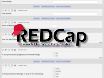 A REDCap Database Design and Setup | Upwork
