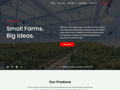 Web development project create | Upwork