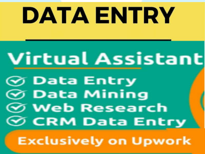Data entry, web research, typing, copy paste & data mining expert | Upwork