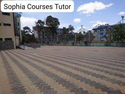 Sophia Learning/Courses Tutor, for all Classes | Upwork
