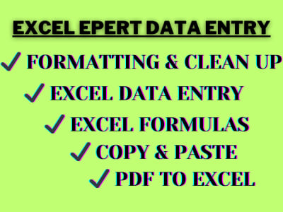 Professional Excel Data Entry, all types of Data Entry Services | Upwork