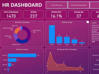 A Power BI Dashboard as a .pbi file | Upwork