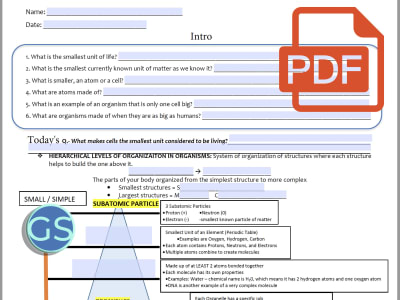 An edited or fillable PDF file | Upwork