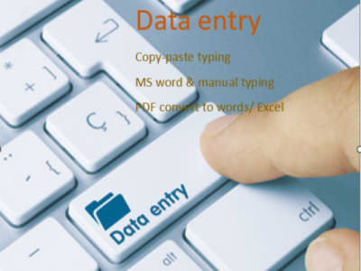 Professional Data Entry Form in Excel | Upwork