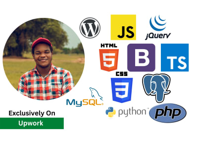 A your WordPress, front end, back end, complete web developer | Upwork