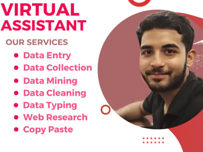 Virtual assistant for data entry, cleaning, copy paste web research | Upwork