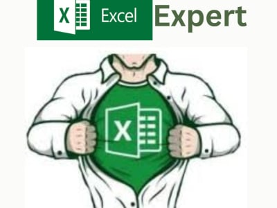 Expertise in excel, google sheets, formula, macro, graphs, automation ...