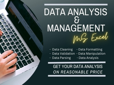 Organize clean and optimized data using Excel for effective data management | Upwork